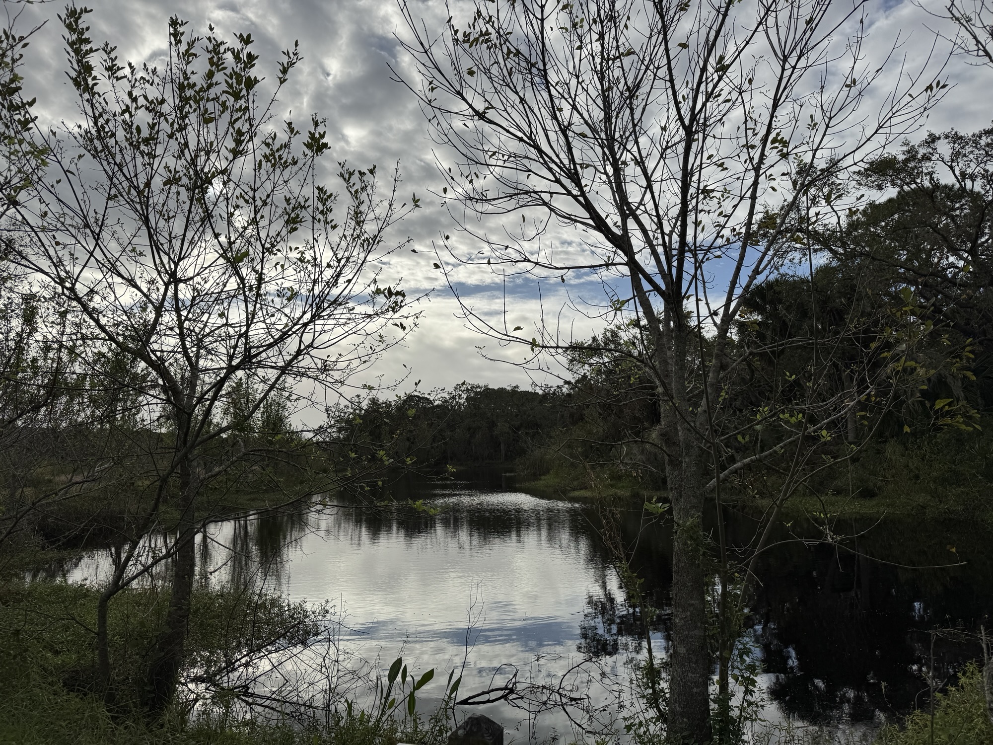 Red Bug Slough Preserve – November 2024 – Traveling Lynn